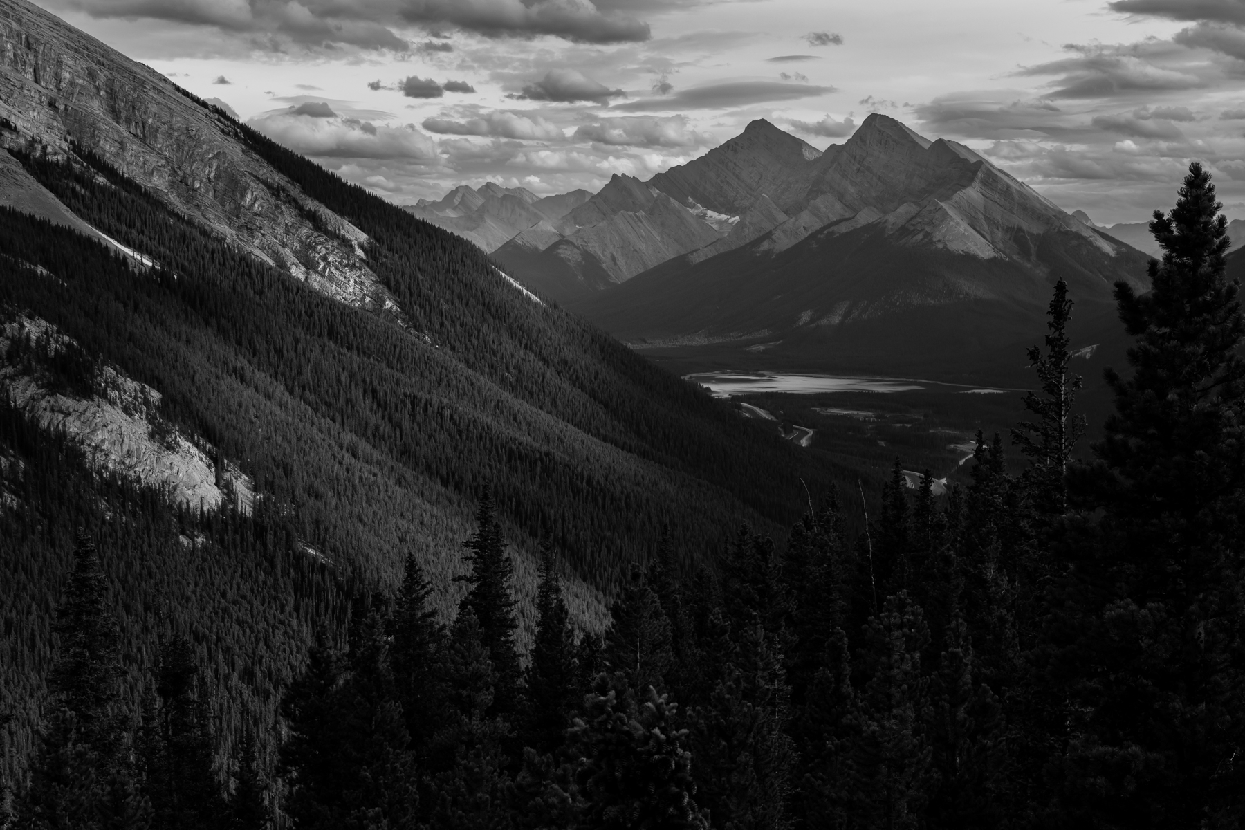 Explore Photography and Paintings from Brandon Prince